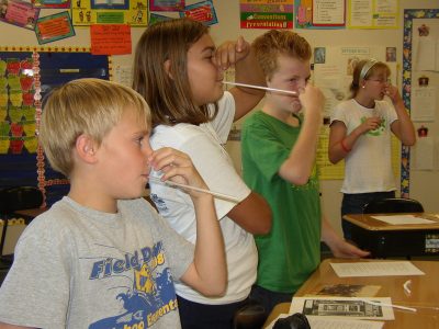 Straw Breathing and Anxiety | Elemental Health and Nutrition