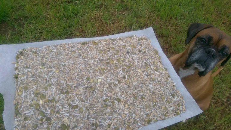 Crazy Crackers Recipe | Elemental Health and Nutrition