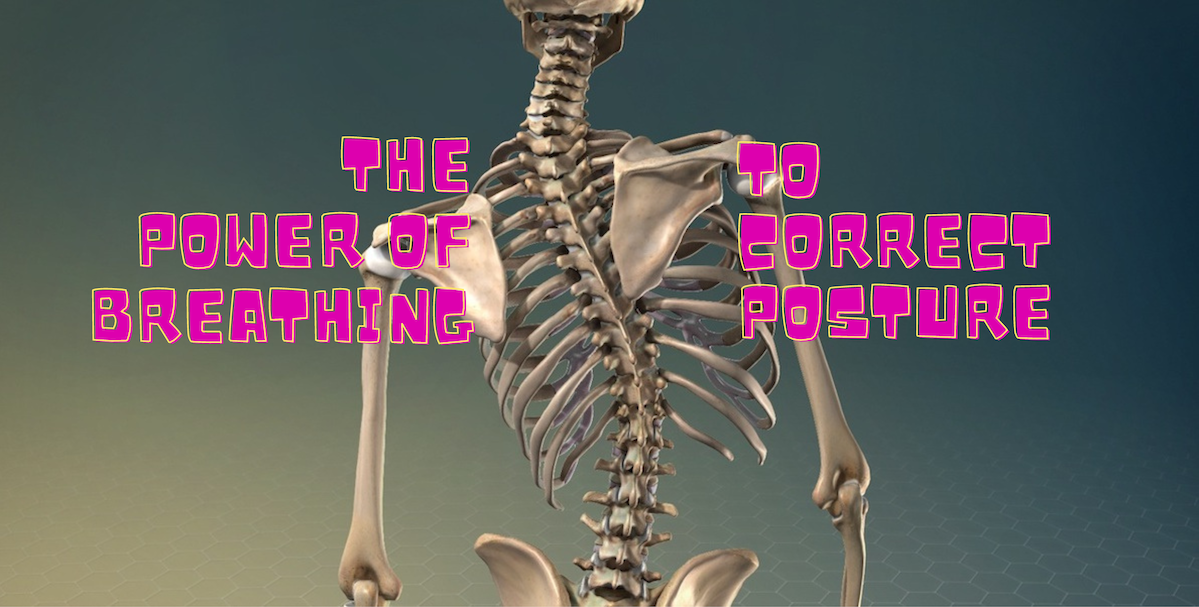 A Guide to Correcting Scoliosis | Elemental Health and Nutrition